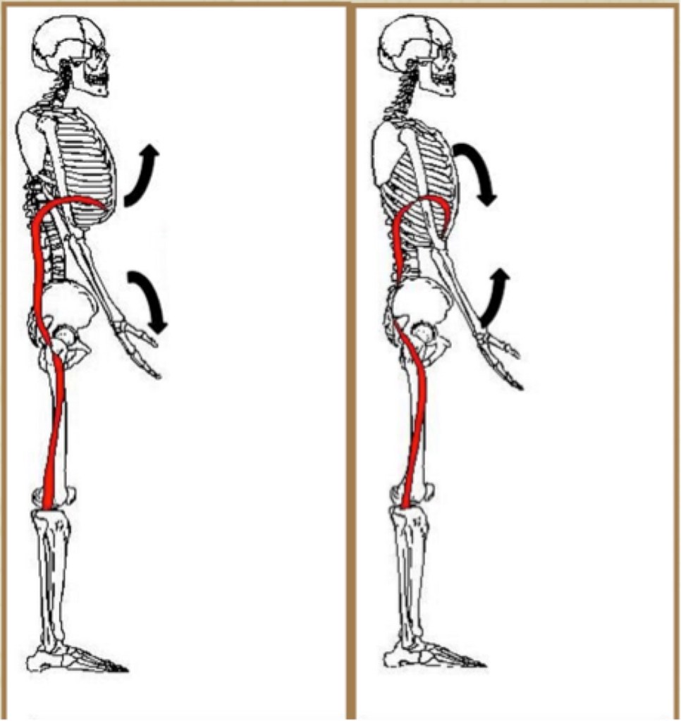 Recap of the 2015 Perform Better Functional Training Summit – Harold ...